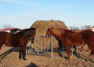 Lazy JV Ranch Hay Racks