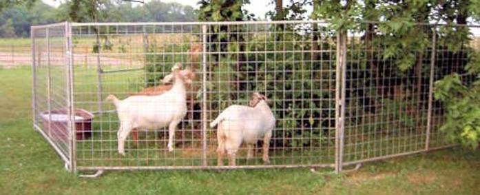 Movable Goat Shelter