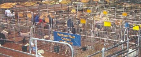 Fair and Show Pens